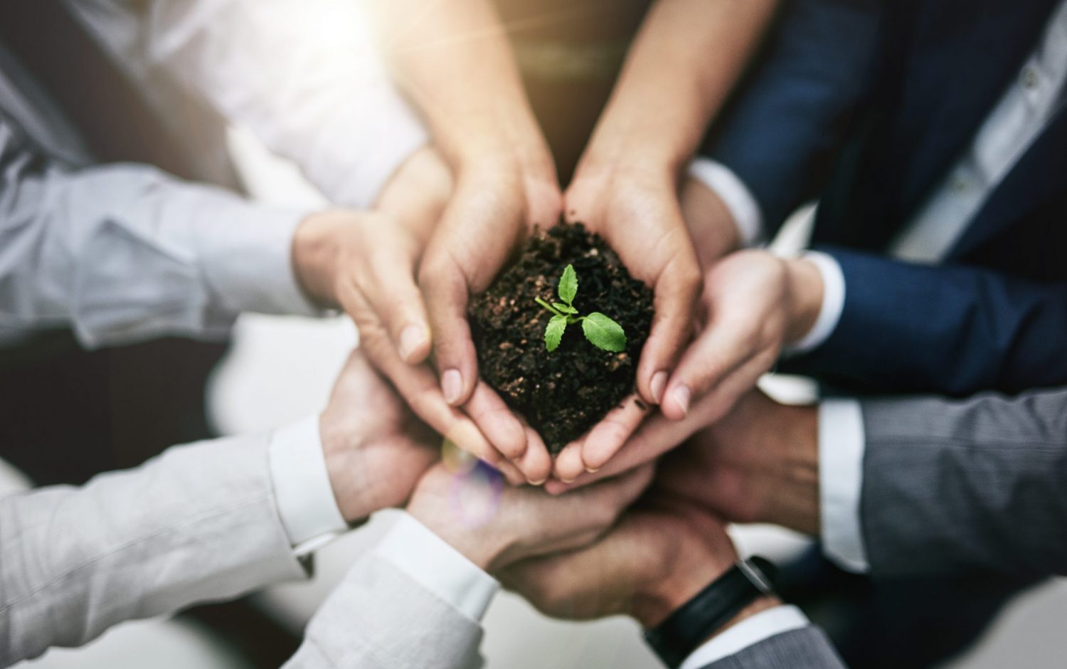 About Us - ProGrowth Bank